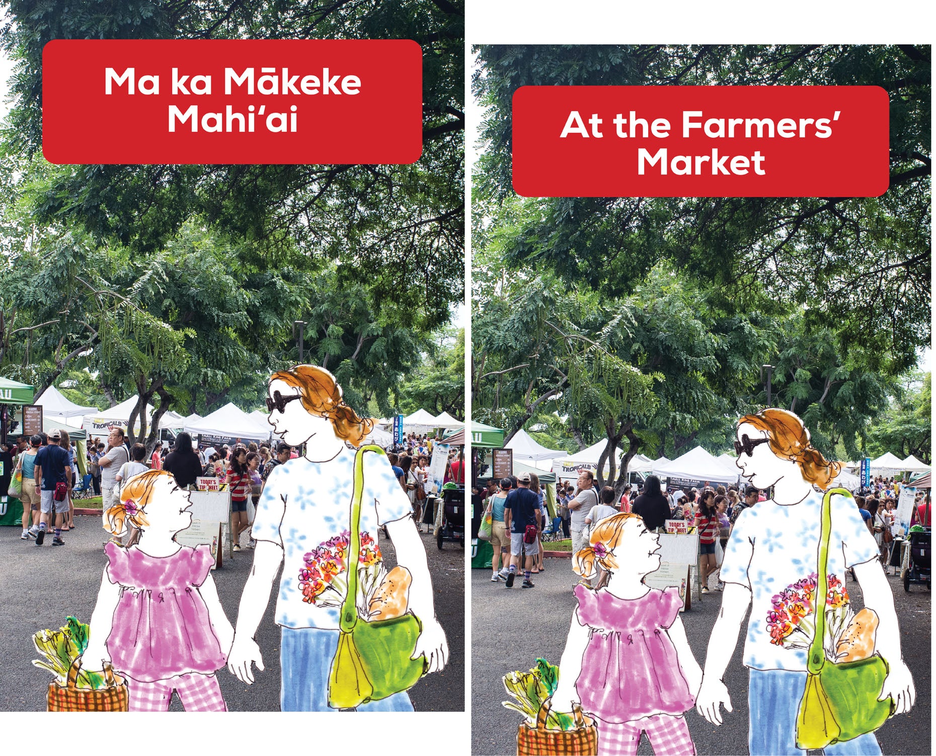 Hawaiian Readers Set 1 (bilingual) – da Shop: books + curiosities